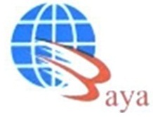 BAYA-LLC